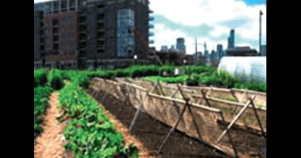 65 micro composting centres to be set up