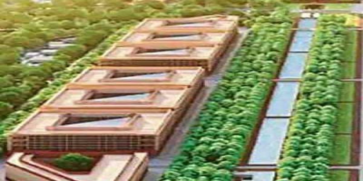 DEC Infrastructure lowest bidder for building Central Vista