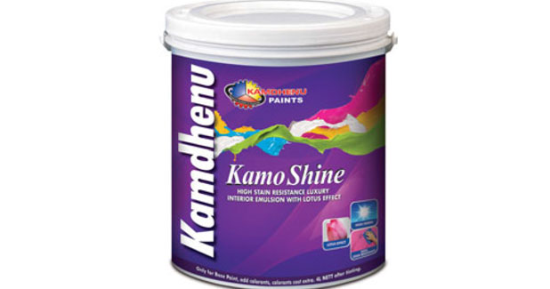Stain-Free Paints