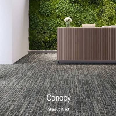 Shaw Contract introduces Canopy collection