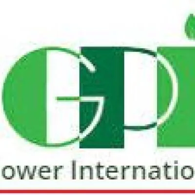 Green Power International Wins 384 TKM Rail Electrification Deal