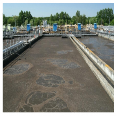 Wastewater treatment: Bionetix offers bioaugmentation solution