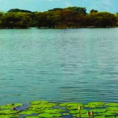 Coimbatore Corp to revive Singanallur lake