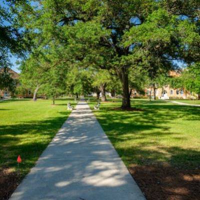 Green Campus project launched by MUHS