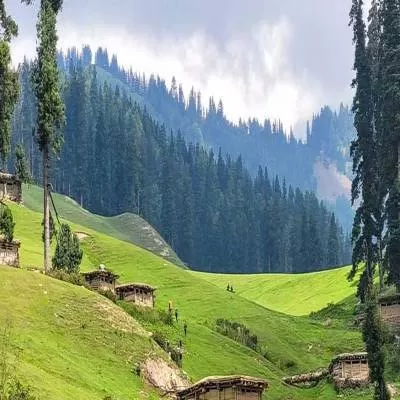 DC checks Changa-Bhal-Padri road progress