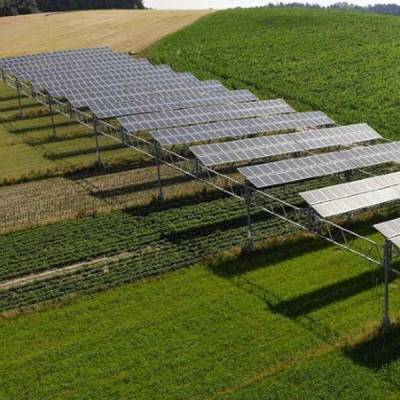 AGCL invites bids for proposed agrivoltaic solar project