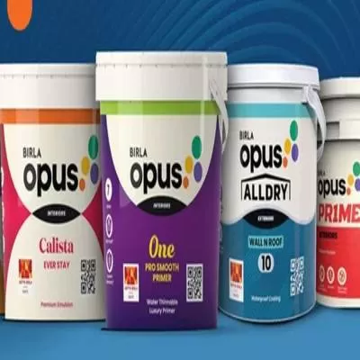 Birla Opus Focuses on Organic Growth
