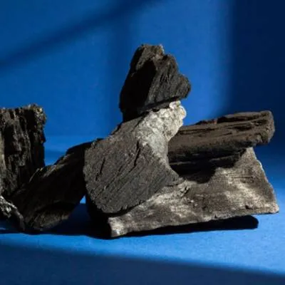 Coal Ministry Opens Bids for 14th Round of Commercial Coal Blocks